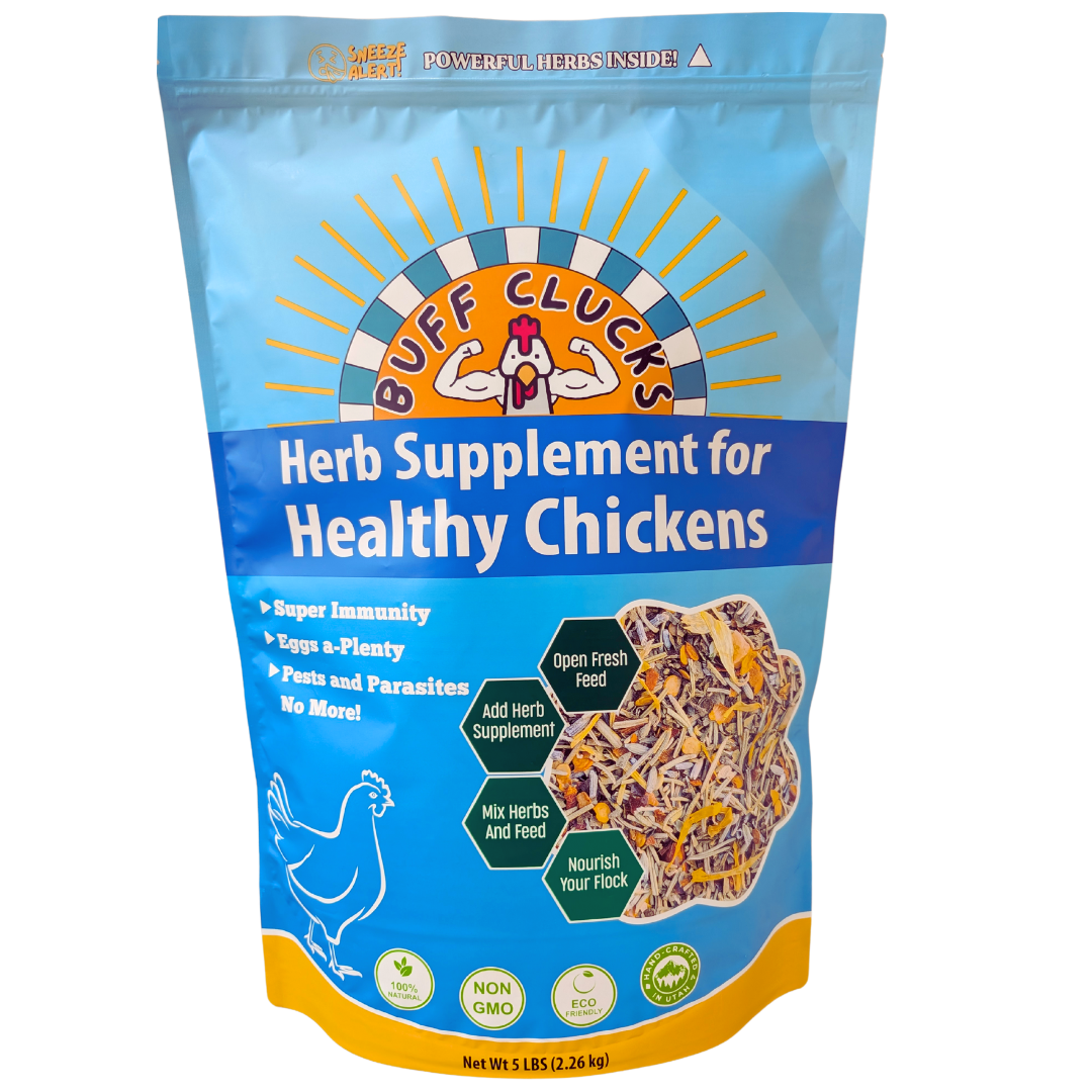 Herb Supplement For Backyard Chickens – Live Aquaponics