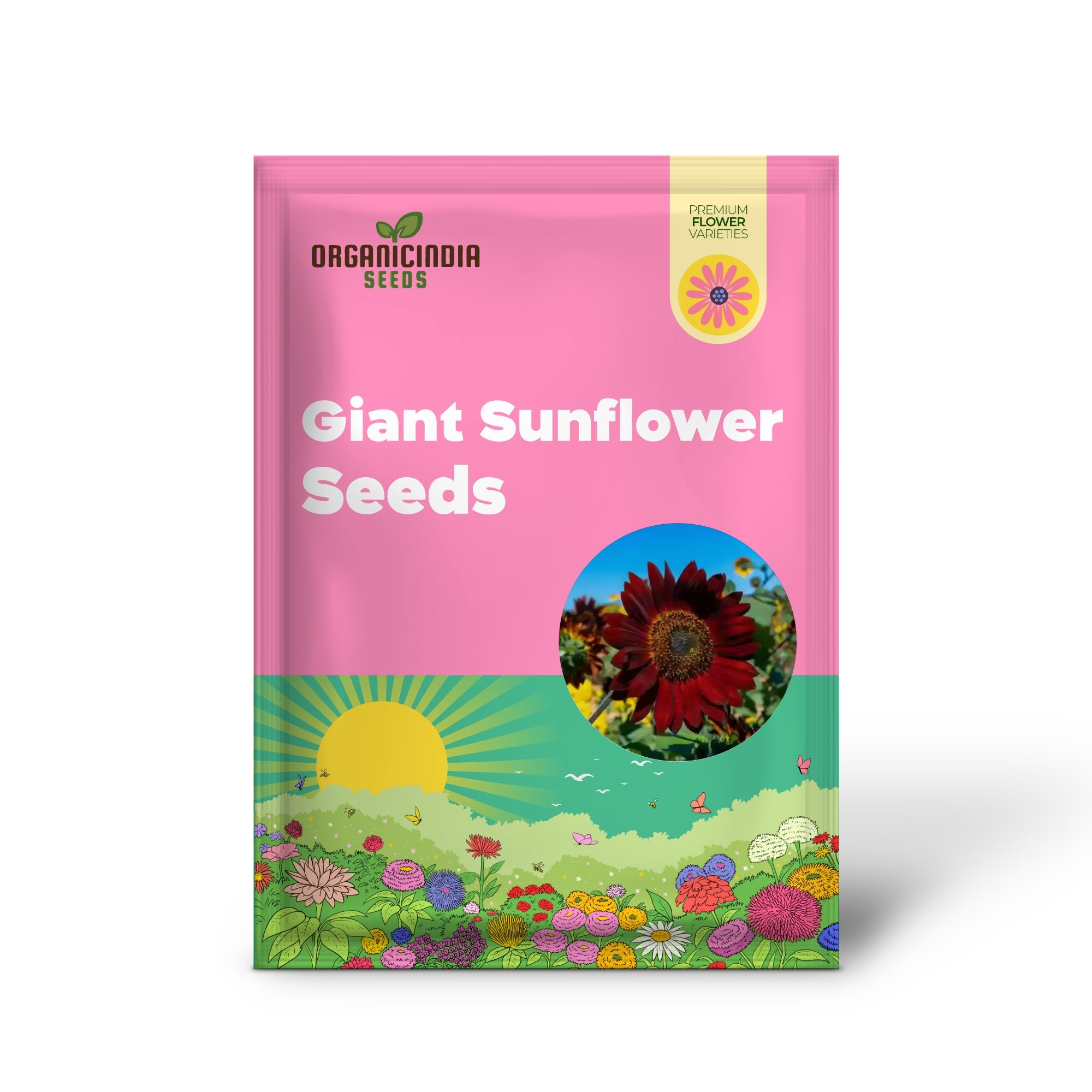 Sunflowers, Red Giant – Live Aquaponics