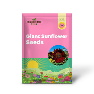 Sunflowers, Red Giant – Live Aquaponics