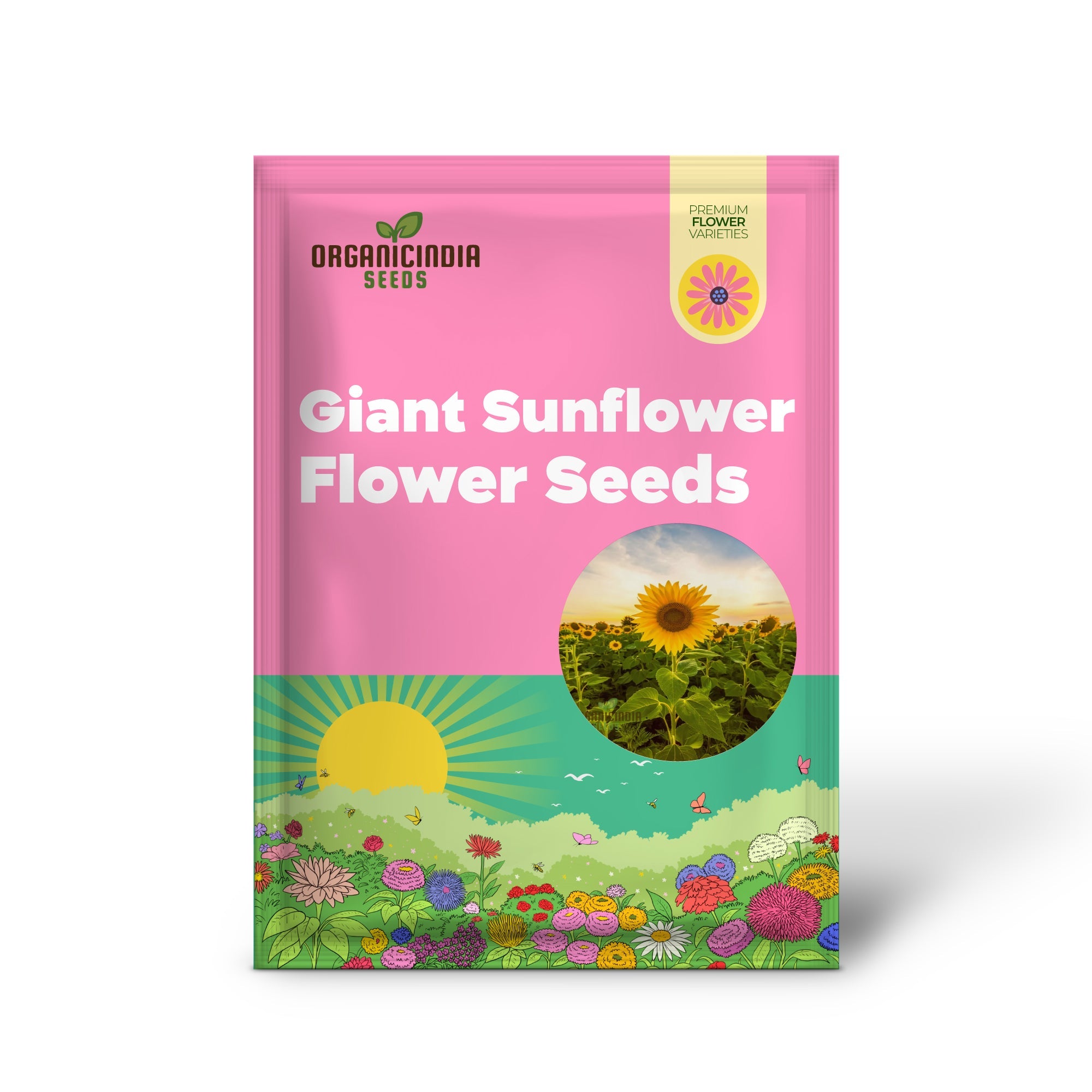 Sunflower, Mammoth (Non-GMO) – Live Aquaponics