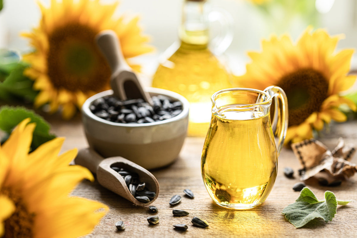 Sunflower, Black Oil – Live Aquaponics